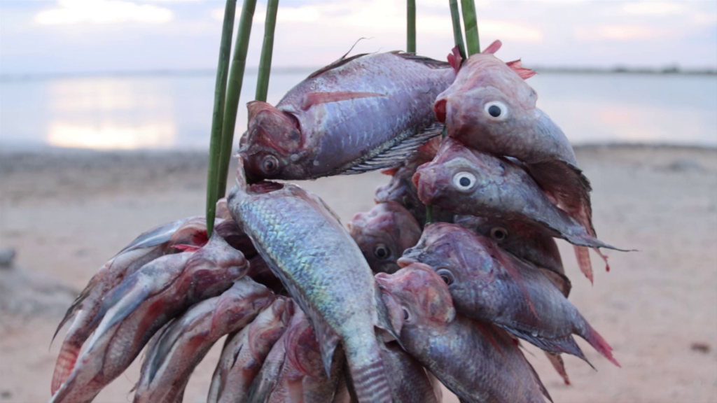 Dodoma FM - Ipo kwa ajili yako