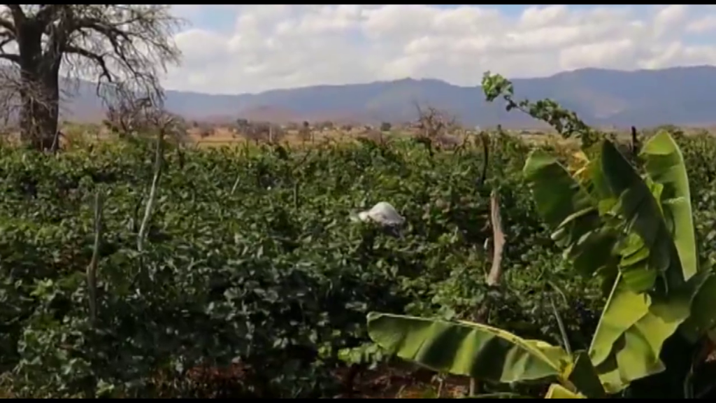 Dodoma FM - Ipo kwa ajili yako