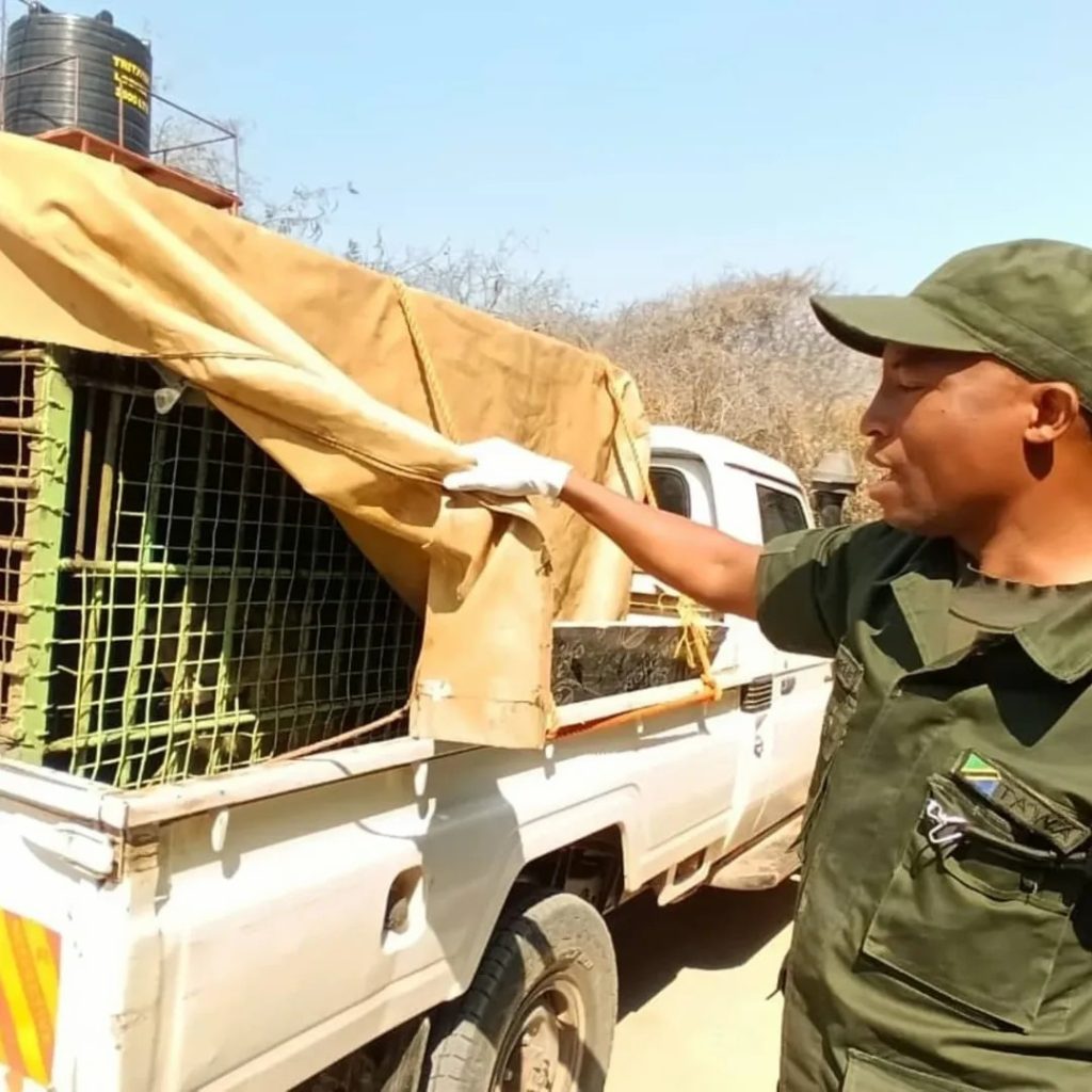 Dodoma FM - Ipo kwa ajili yako