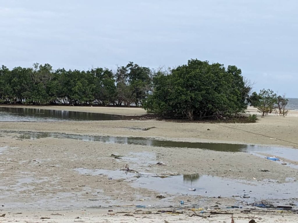 Pangani FM - Sauti ya Jamii